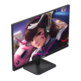 GMX24F100 Full HD LED Monitor 100Hz Refresh Rate